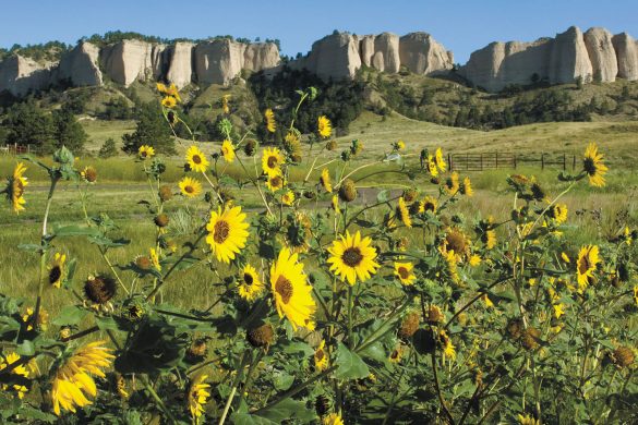 Discover Kingsland, Georgia - Family RVing Magazine